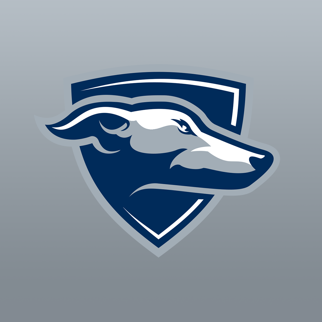 GREYHOUNDS – NBHL Store by Variant